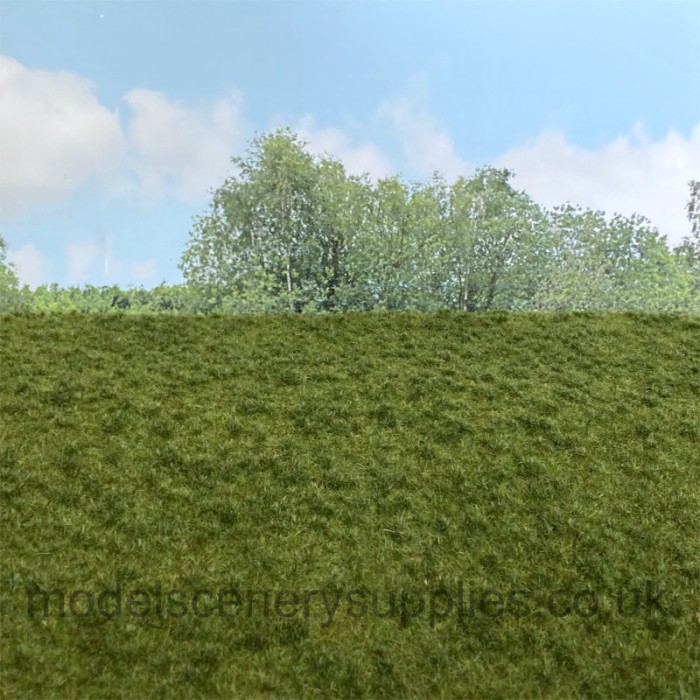 Landscape Mat Grass Summer Meadow with Grass Tufts Model Scene F517